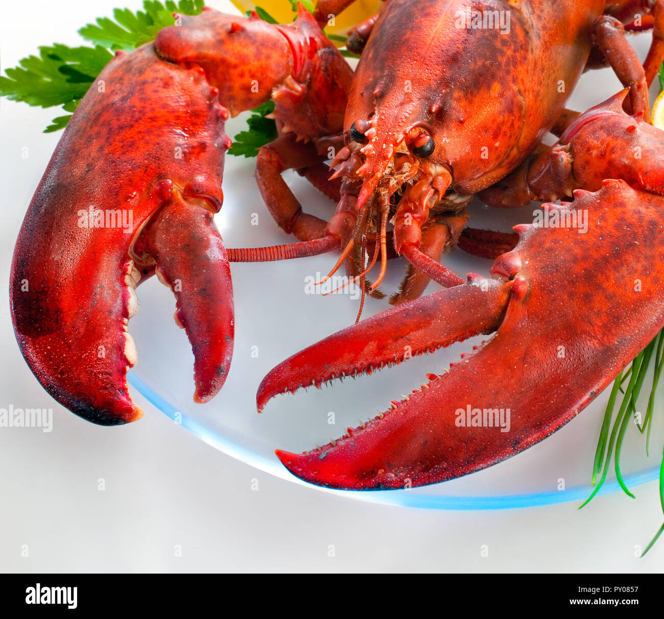 Cooked red whole lobster with big claws Stock Photo - Alamy