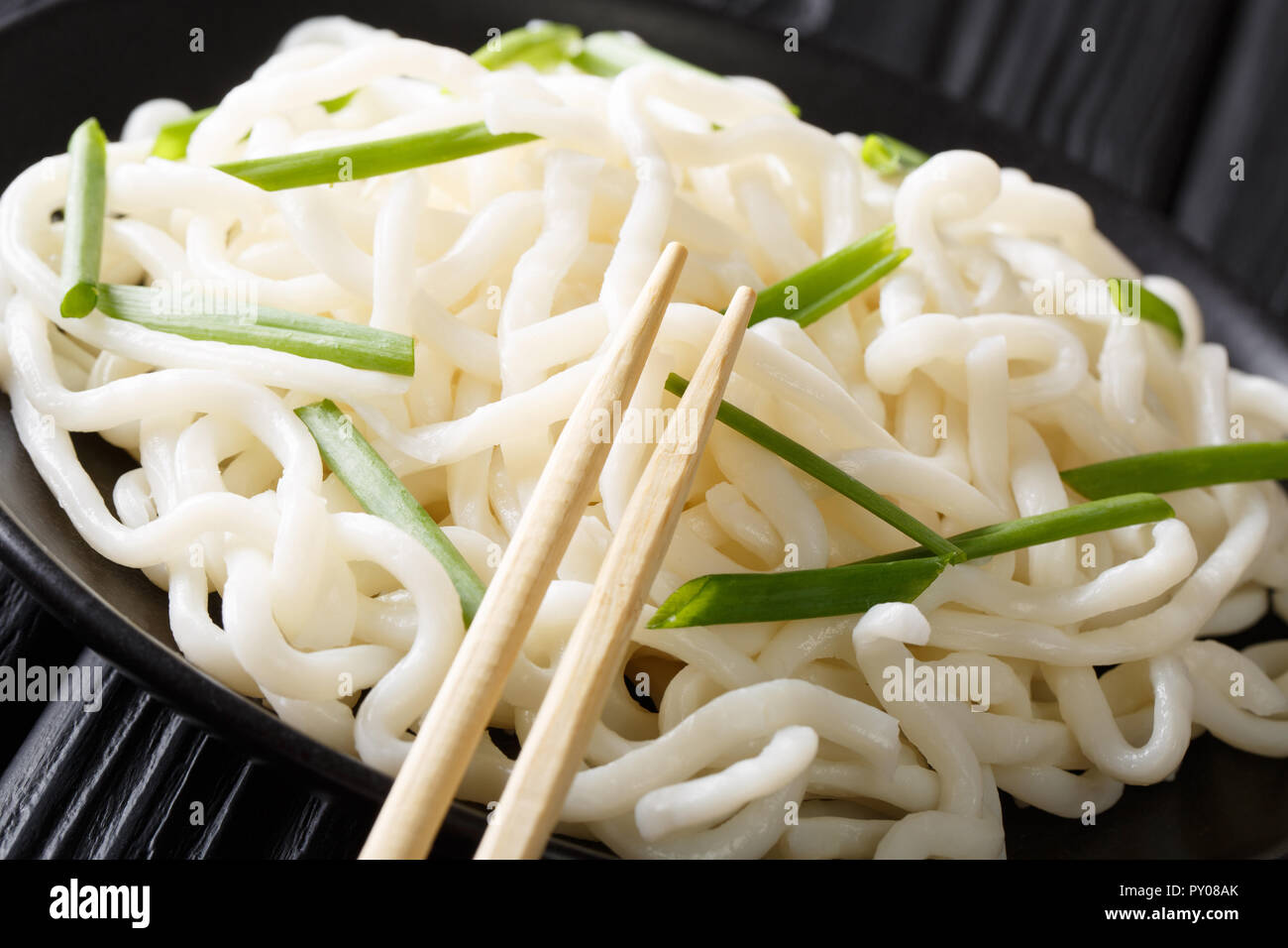 Japanese udon noodles decorated with green onions close-up on a plate ...