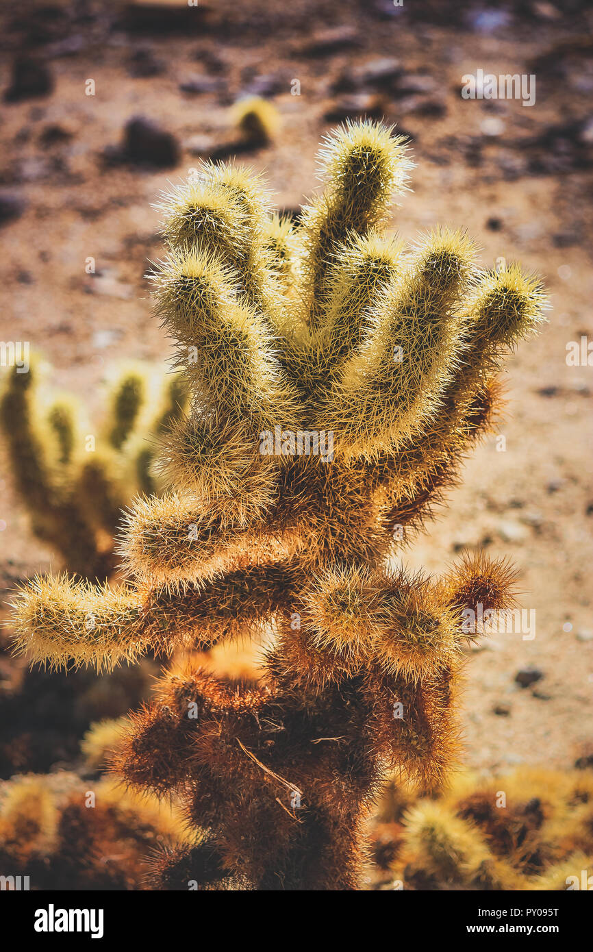 Jumping teddy bear hi-res stock photography and images - Alamy