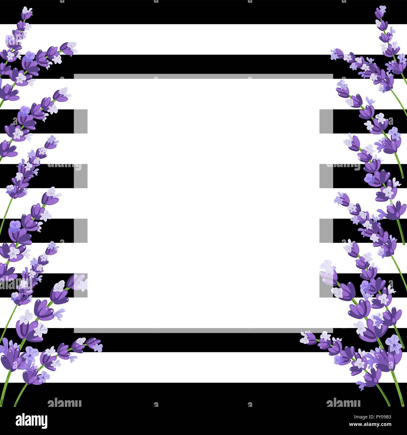 Lavender Card with flowers. Vintage Label with provence violet lavender ...