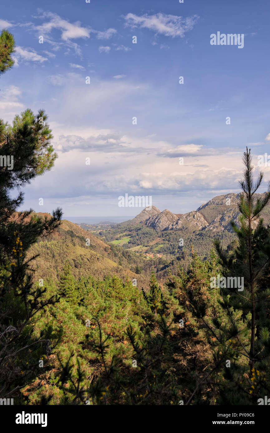 Spanish landscape in autumn with pine forests and mountains Stock Photo ...