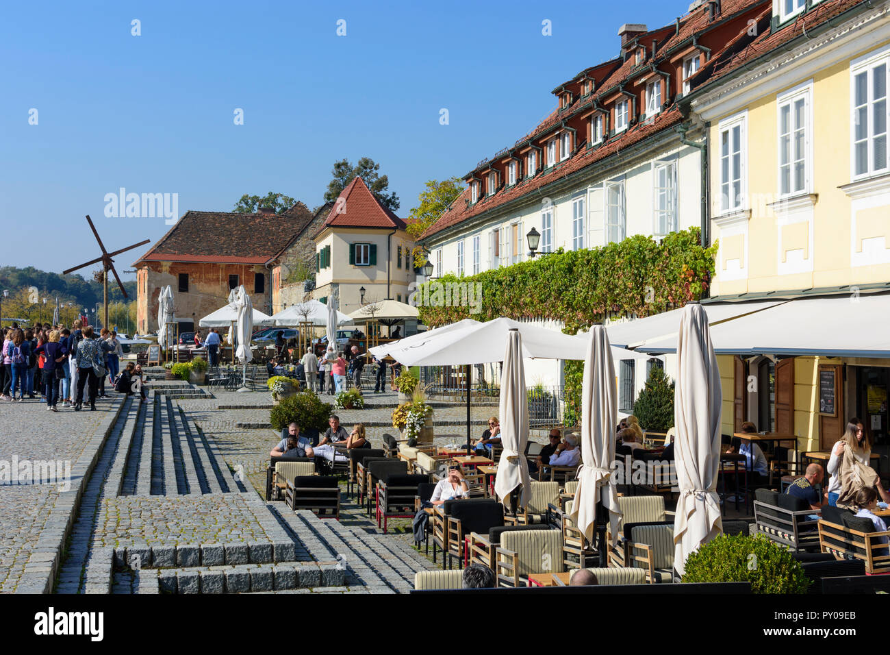 Maribor (Marburg an der Drau): The Old Vine House, Old Vine, wine ...