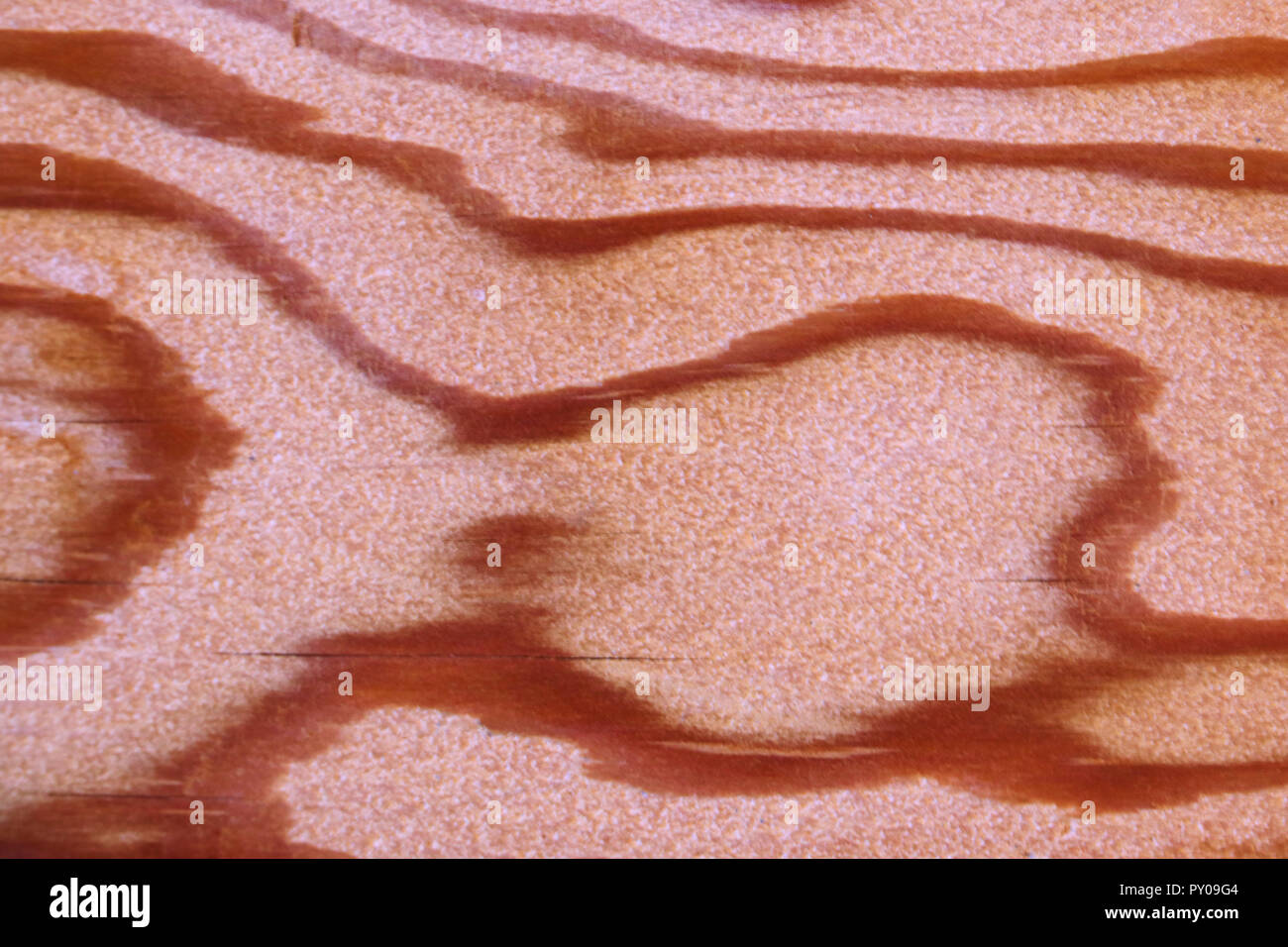 Texture of light wooden table, texture, background Stock Photo - Alamy