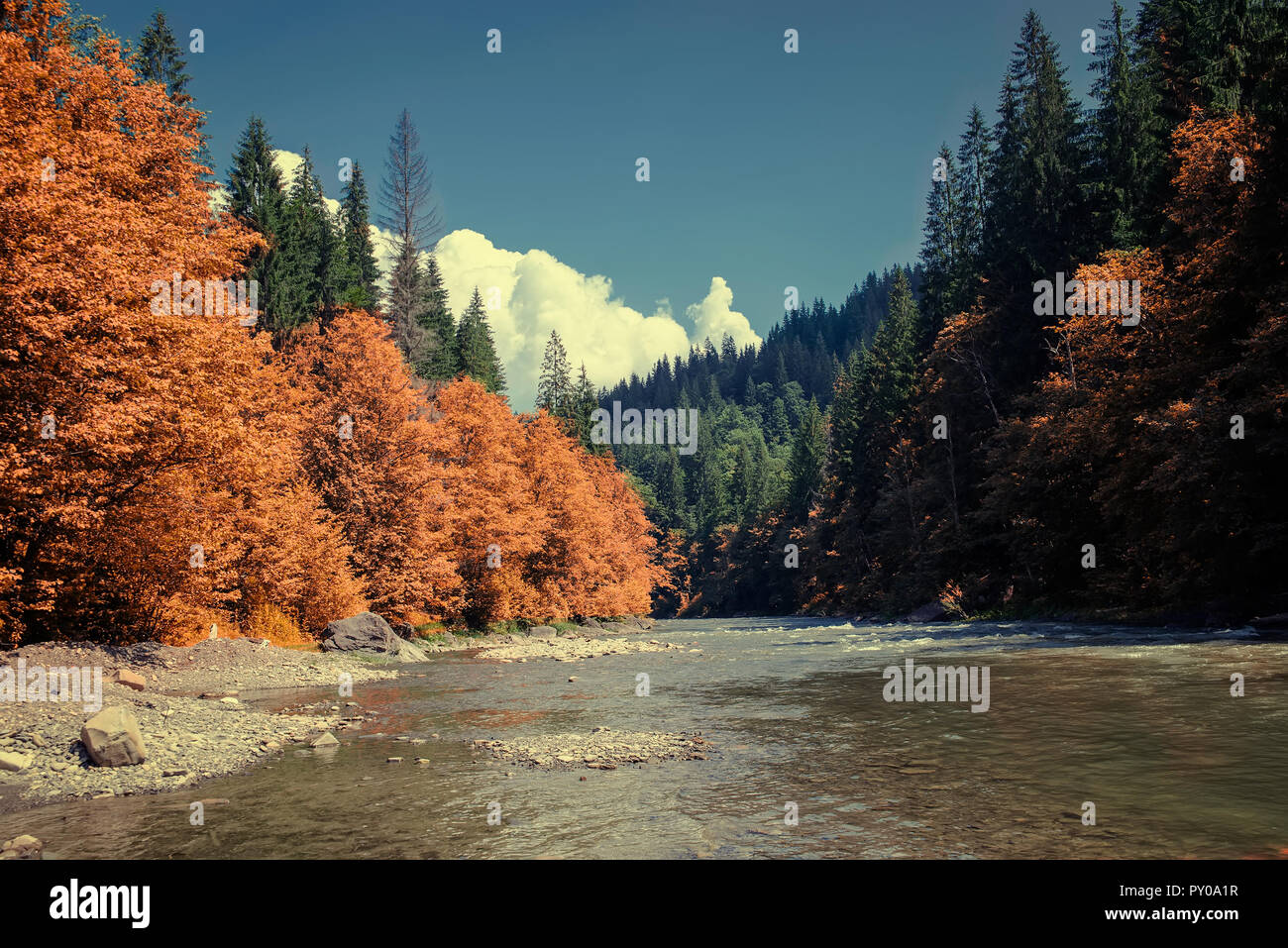 Carpathian autumn landscape hi-res stock photography and images - Alamy