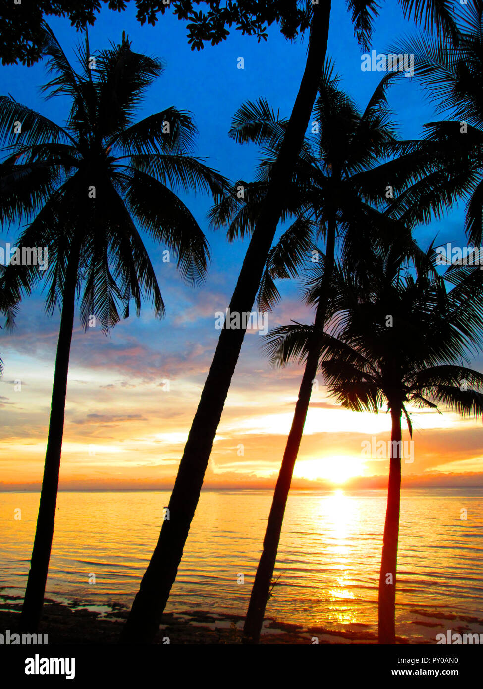 Scenic view with silhouettes of palm trees on beach at sunset, Boracay ...