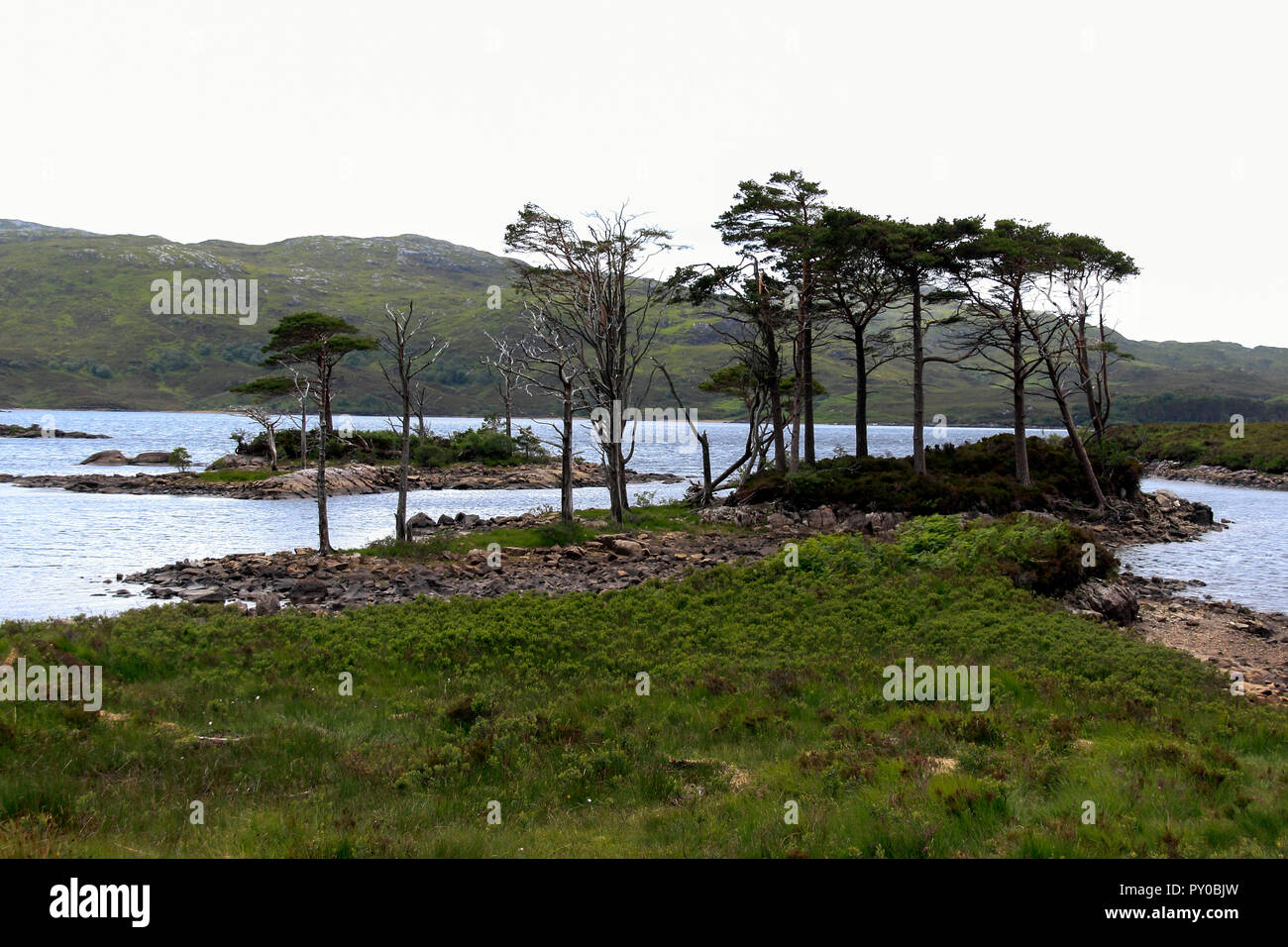 Loch Assynt, Scottish Highlands, Scotland, UK Stock Photo - Alamy