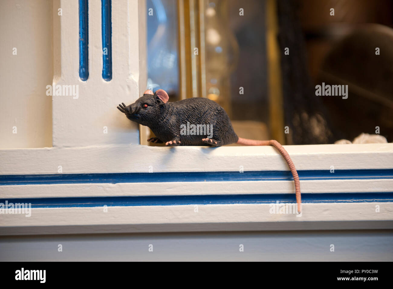 The Endeavour Experience, Whitby. Captain James Cook Stock Photo - Alamy