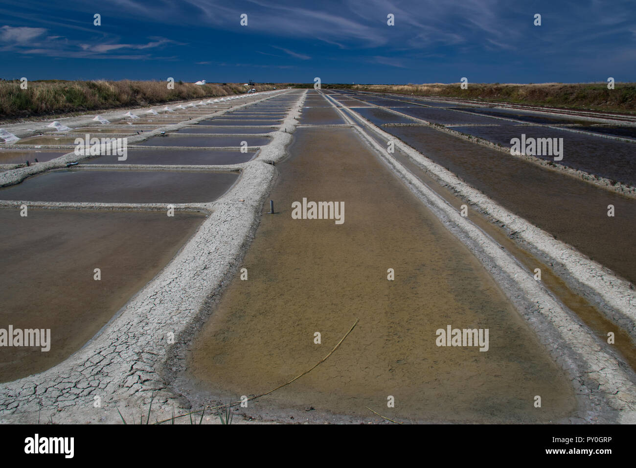 Shallow water pans hi-res stock photography and images - Alamy