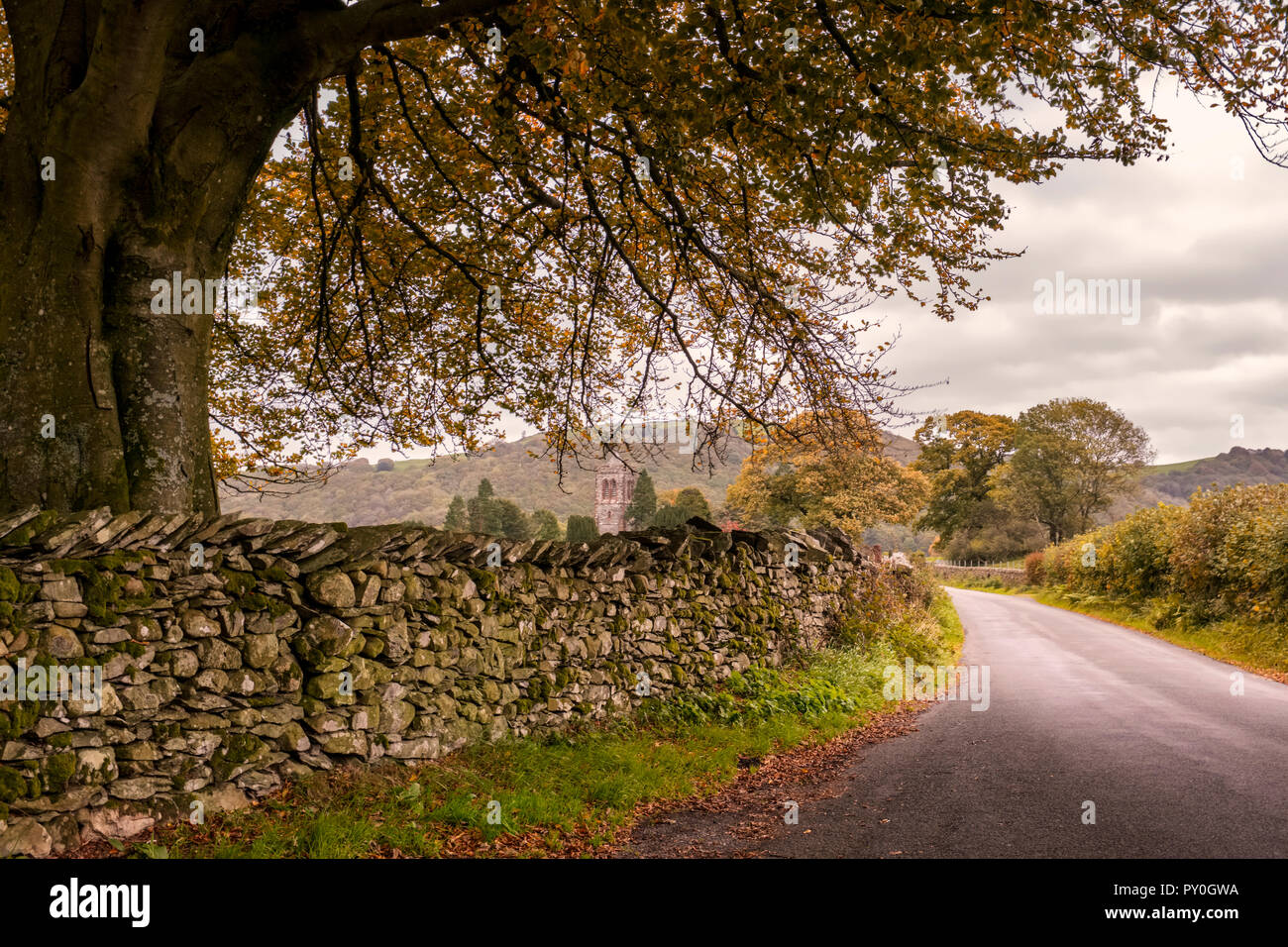 Autumn colours come to Lowick in the Crake Valley of the Lake District ...