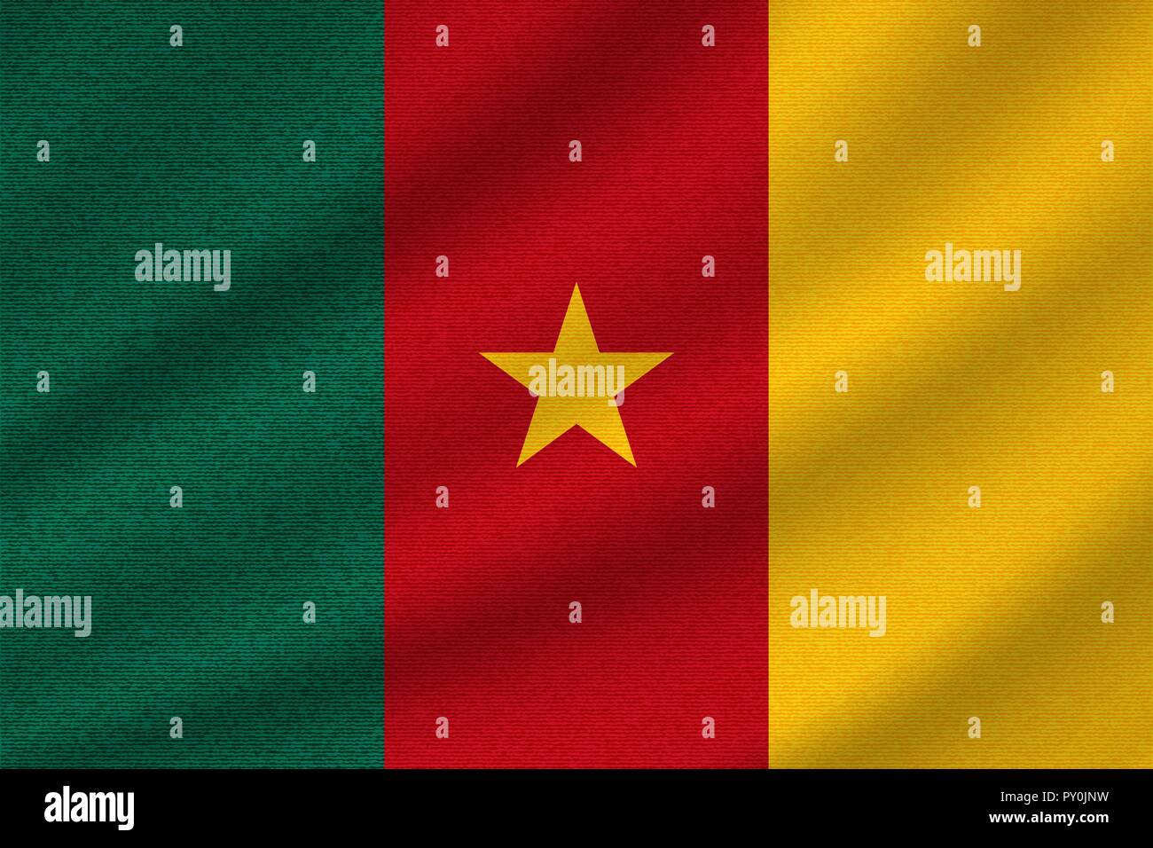 national flag of Cameroon on wavy cotton fabric. Realistic vector ...