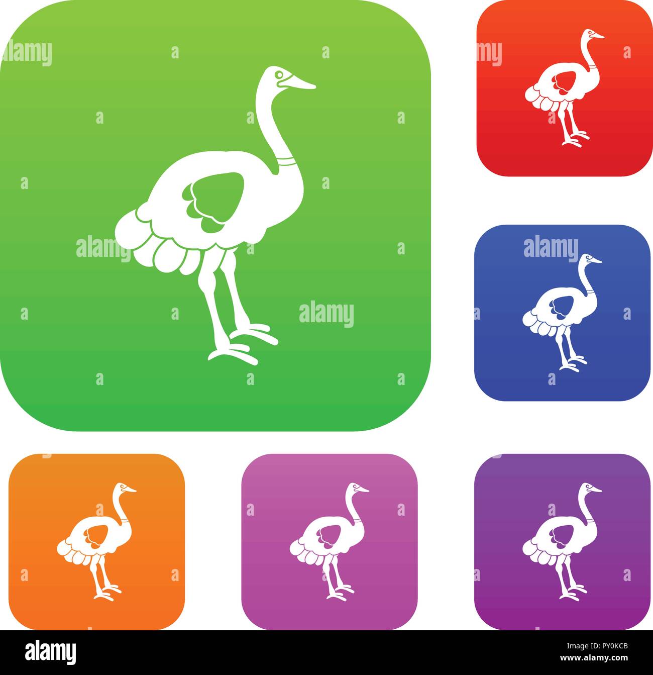 Green ostrich feather Stock Vector Images - Alamy