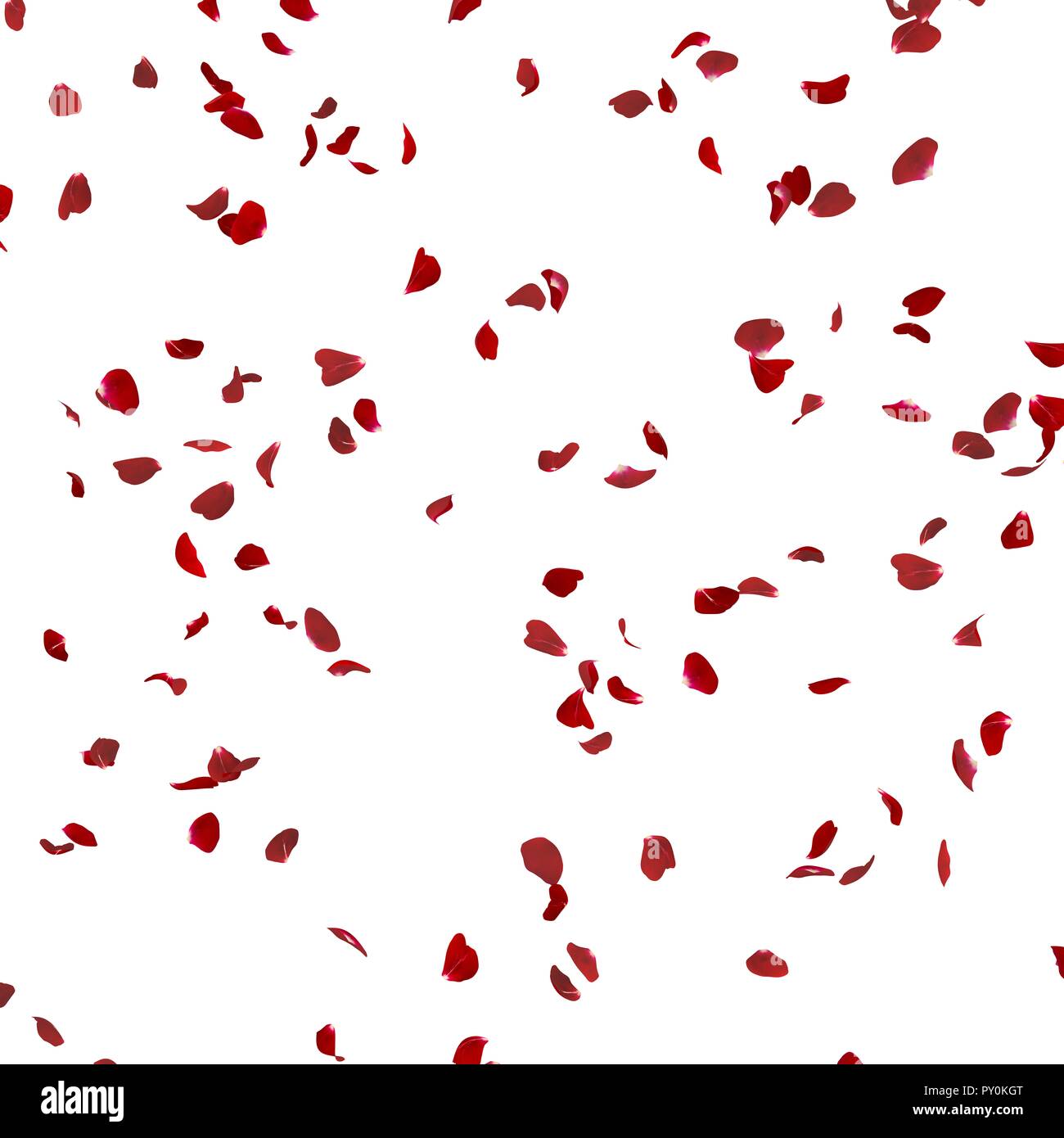 Rose petals fly in the air. White isolated background Stock Photo - Alamy