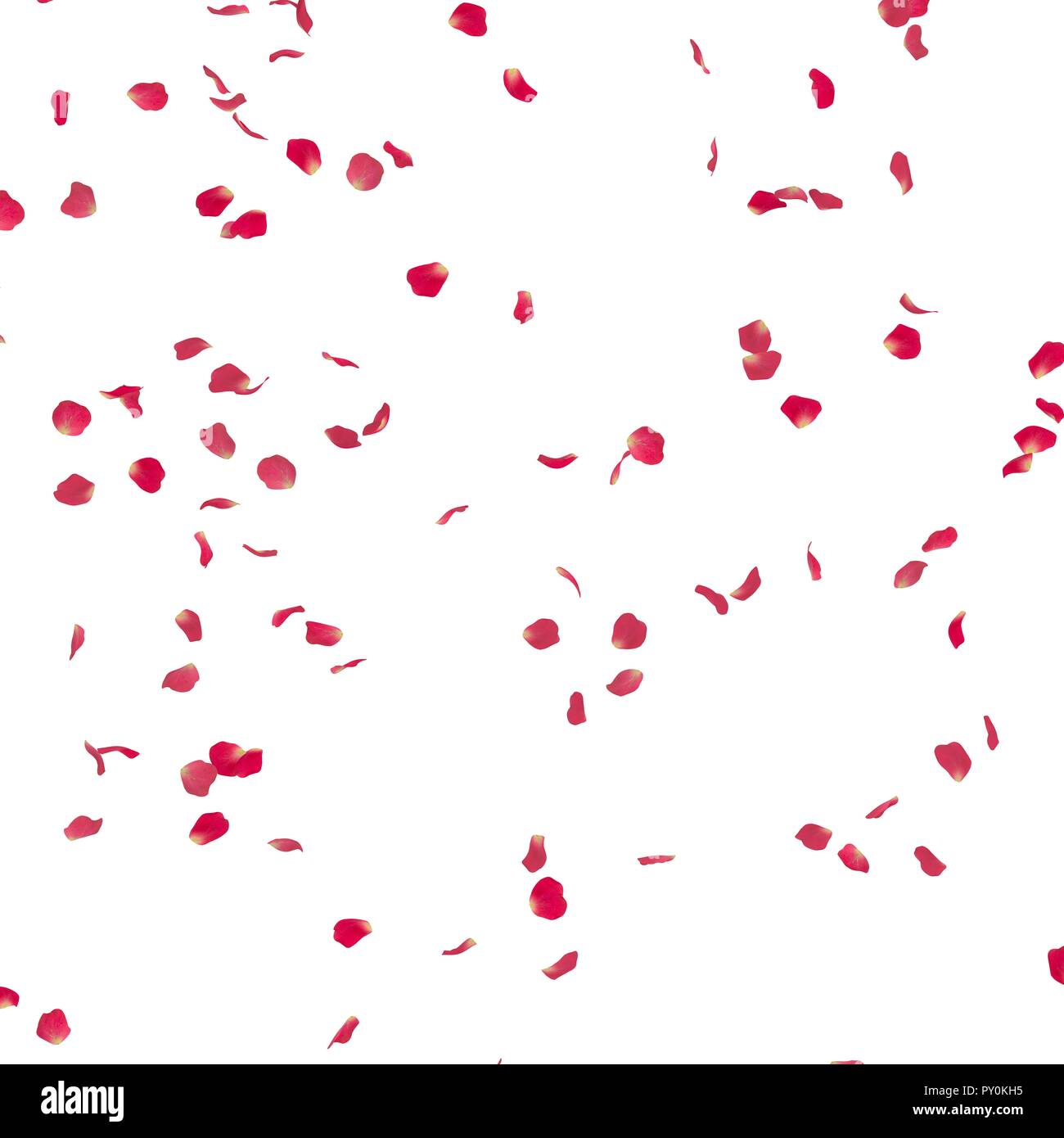 Rose petals fly in the air. White isolated background Stock Photo - Alamy