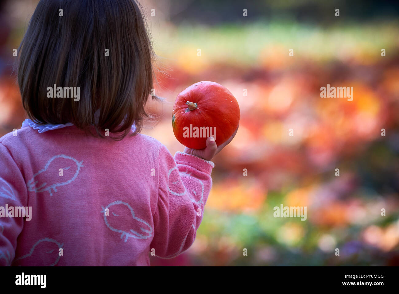 Baby squash hi-res stock photography and images - Alamy