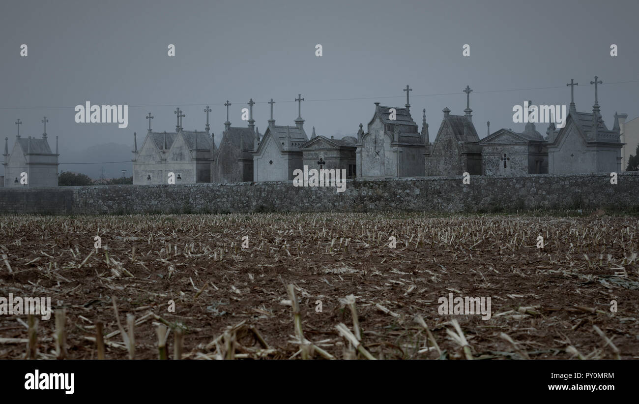 Conceptual sad image about death with corn stubble and old christian ...