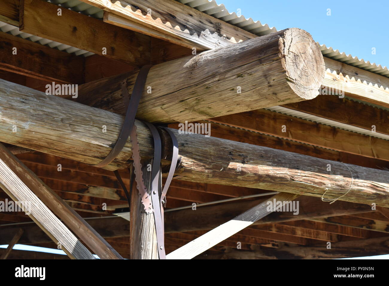 Photo of broken log hi-res stock photography and images - Alamy
