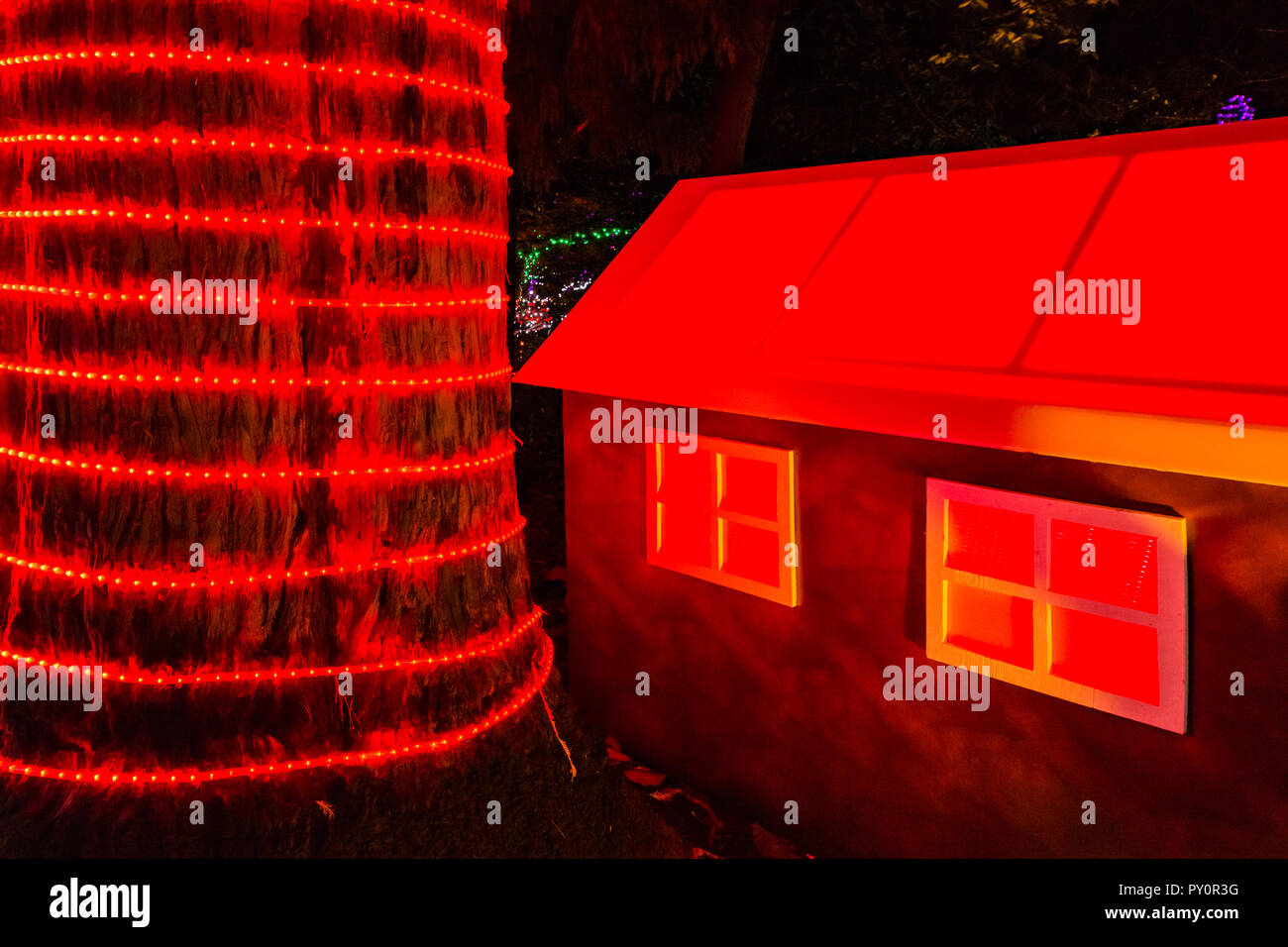 Tree trunk holiday lights hi-res stock photography and images - Alamy