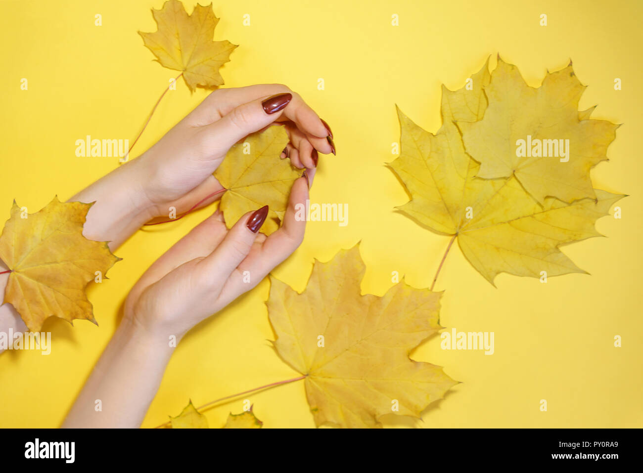 Fashion art hand woman in autumn time and leaves on her hand with ...
