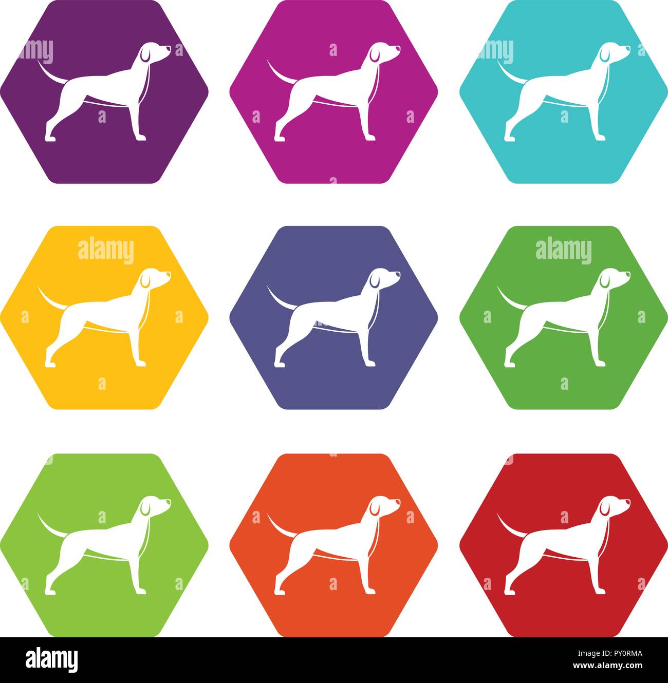 Dog icon set color hexahedron Stock Vector Image & Art - Alamy