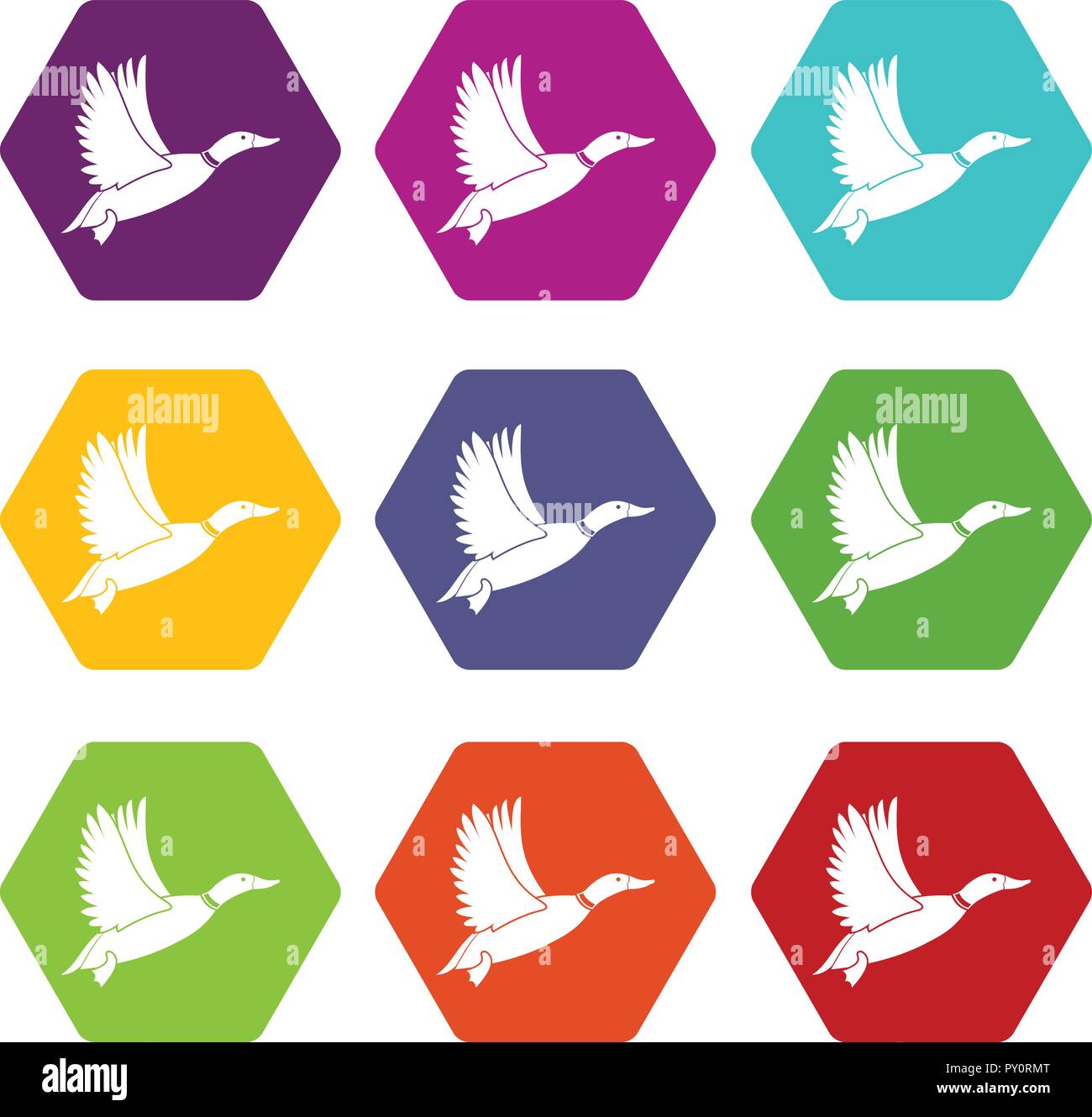 Duck icon set color hexahedron Stock Vector Image & Art - Alamy