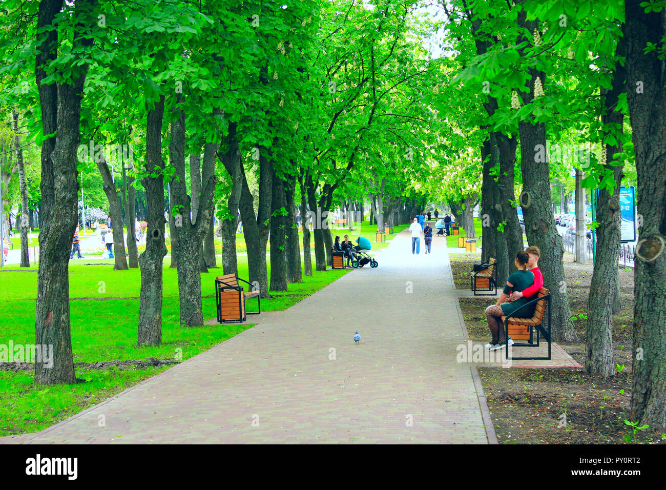 Go for a walk in a promenade hi-res stock photography and images - Alamy