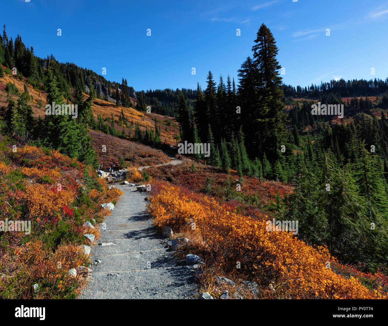 Fall hiking on Mt Rainier, Washington State Stock Photo - Alamy