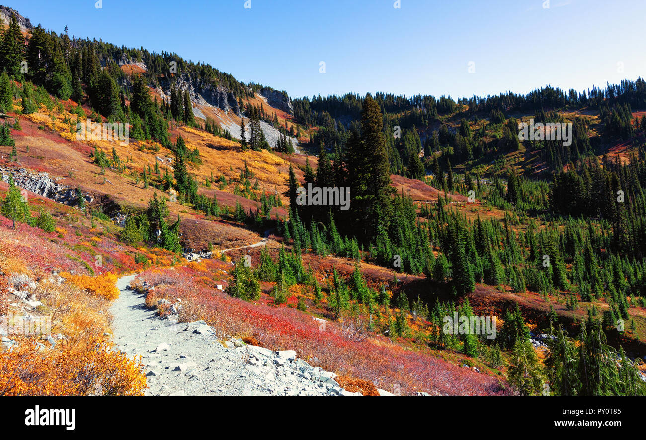 Fall hiking on Mt Rainier, Washington State Stock Photo - Alamy