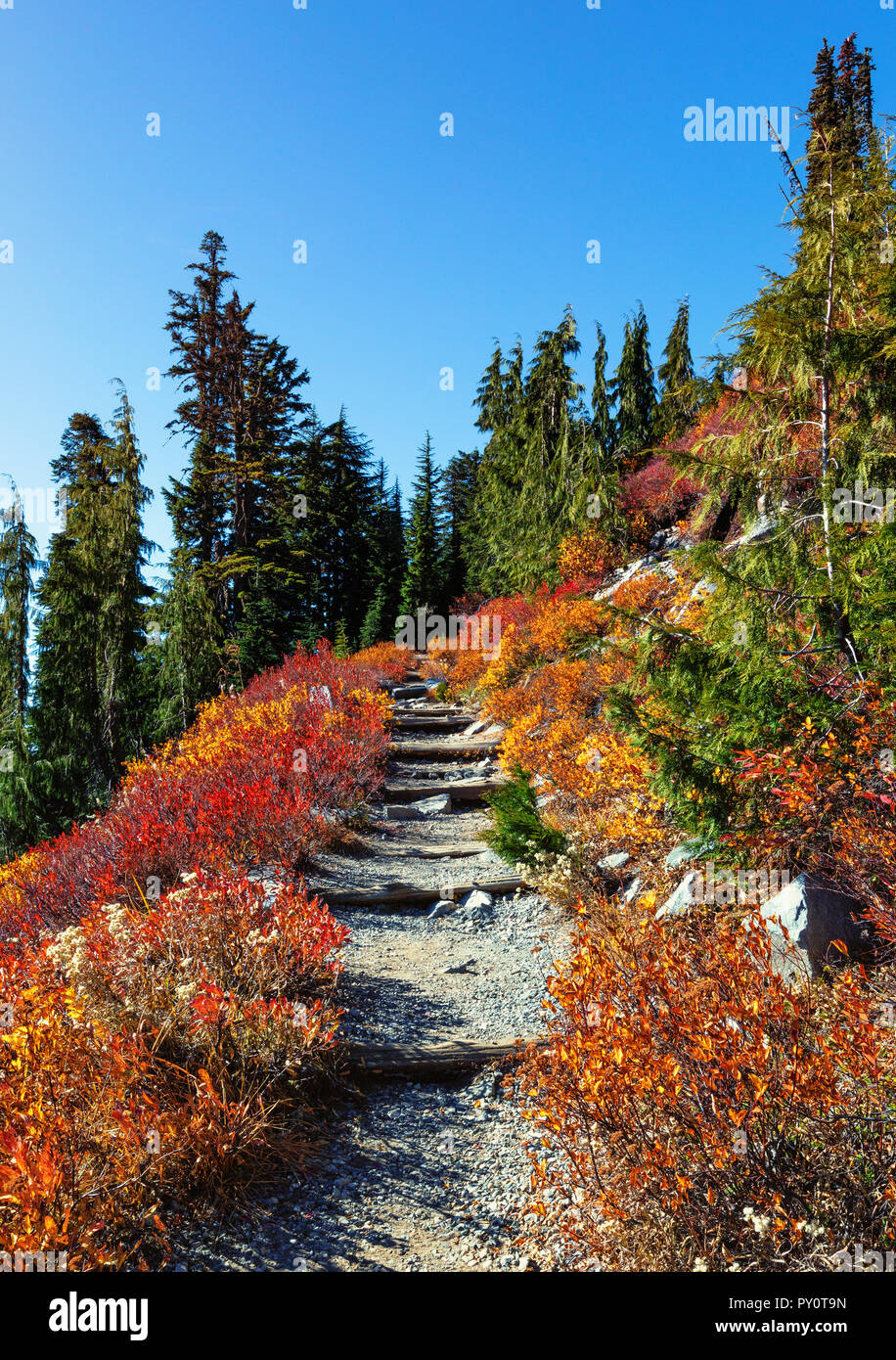 Fall hiking on Mt Rainier, Washington State Stock Photo - Alamy