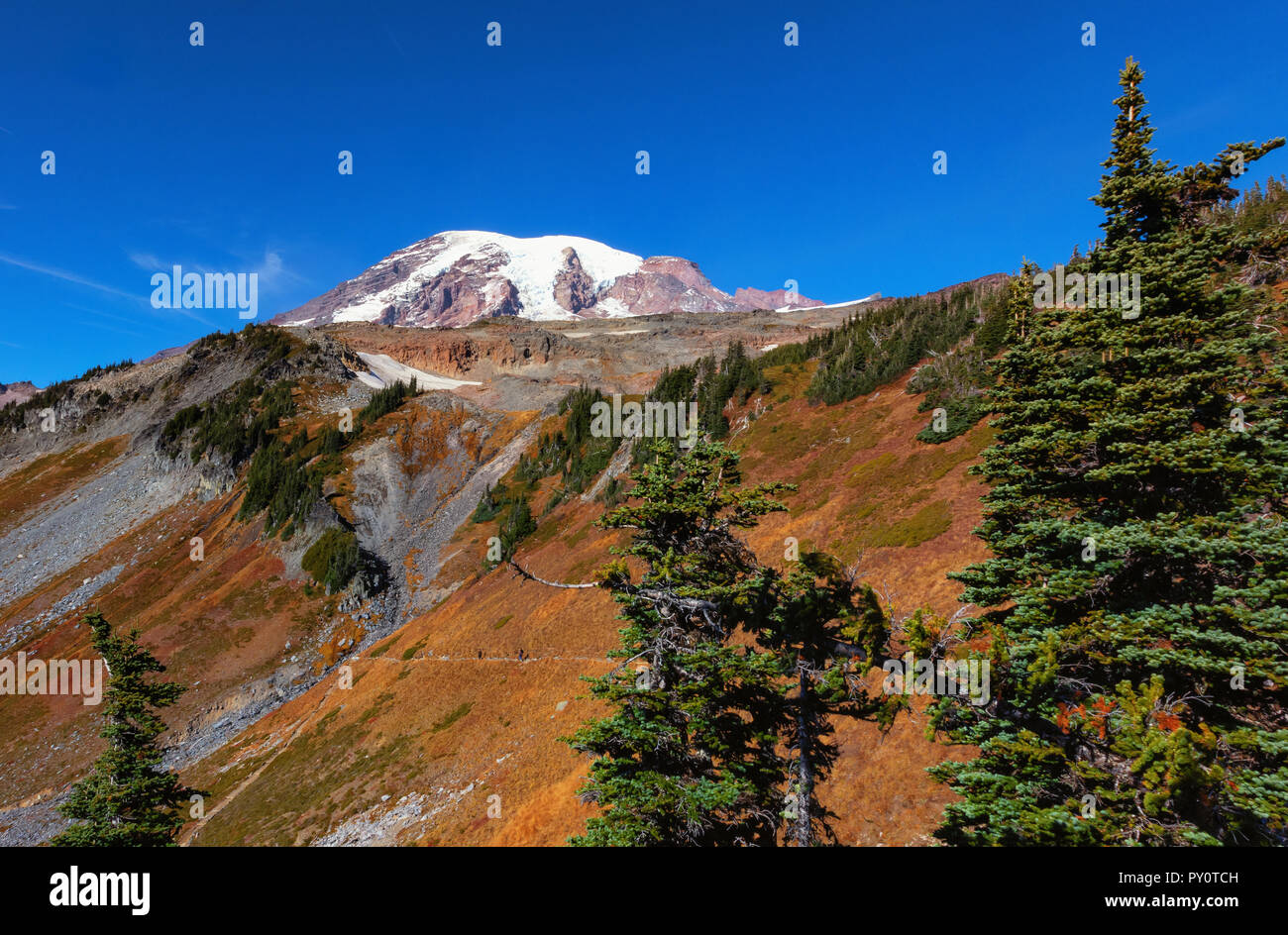 Fall hiking on Mt Rainier, Washington State Stock Photo - Alamy
