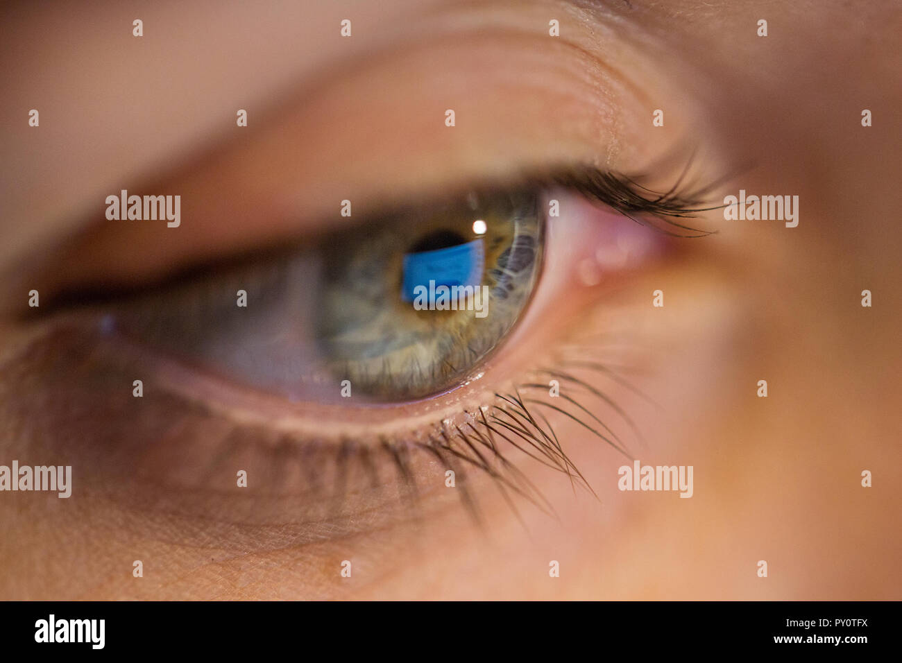 Eye reflection screen hi-res stock photography and images - Alamy