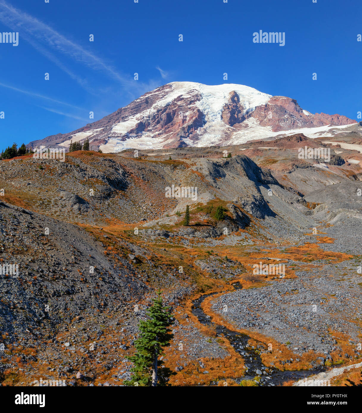 Fall hiking on Mt Rainier, Washington State Stock Photo - Alamy