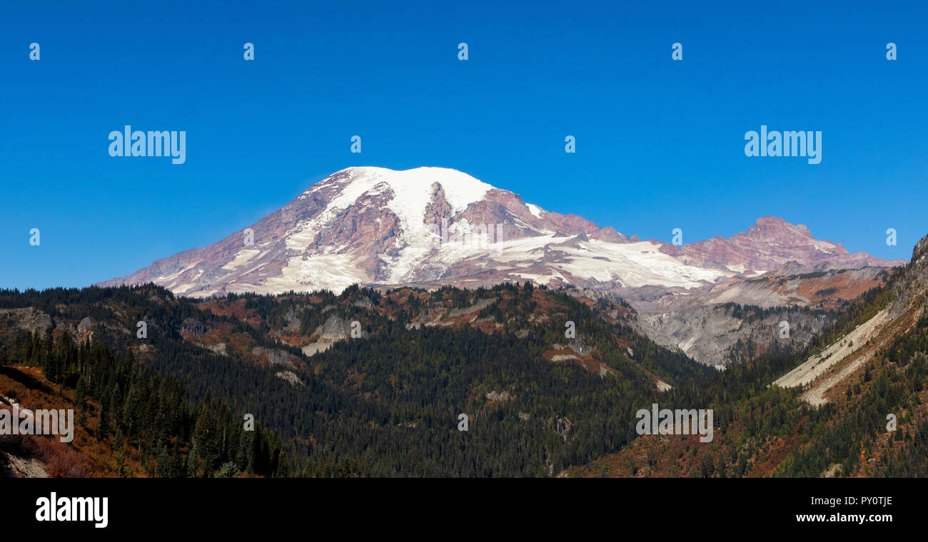 Fall colors with Mt. Rainier in the background, Washington State Stock ...