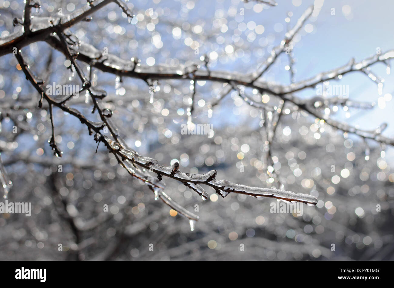 Grayness hi-res stock photography and images - Alamy