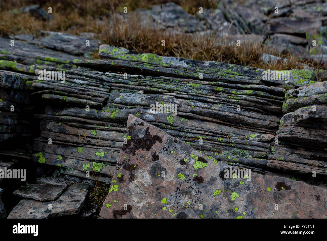 Sediments of various ancient environments take millions of years to ...