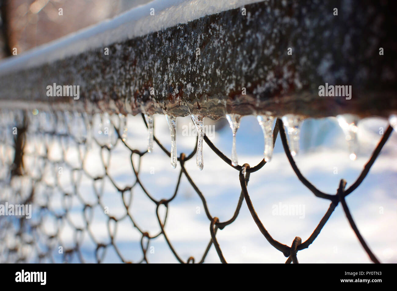 Wire mesh glass hi-res stock photography and images - Alamy