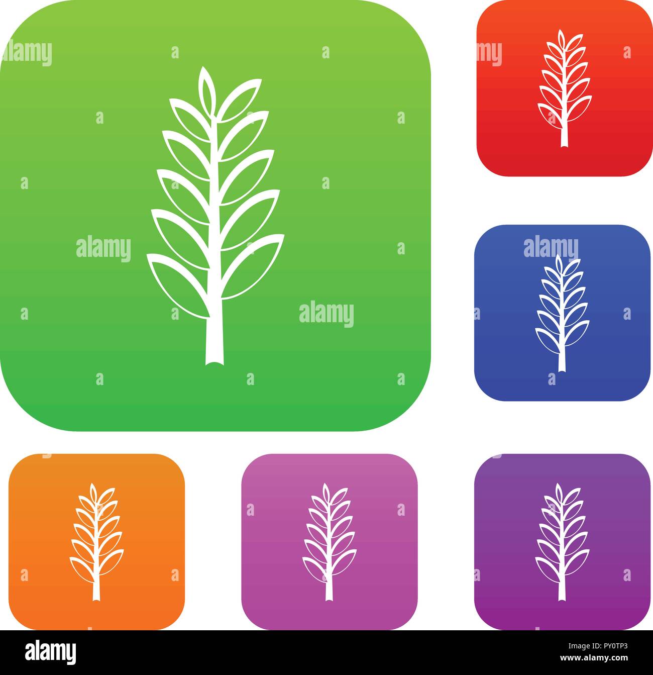 Spica set color collection Stock Vector Image & Art - Alamy