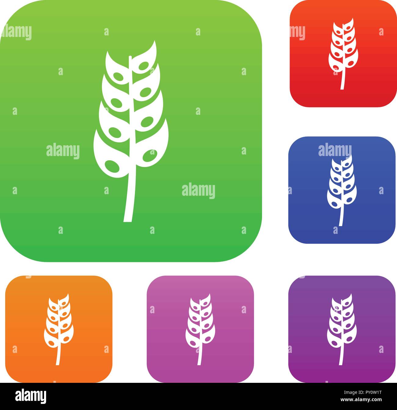 Ripe spica set color collection Stock Vector Image & Art - Alamy