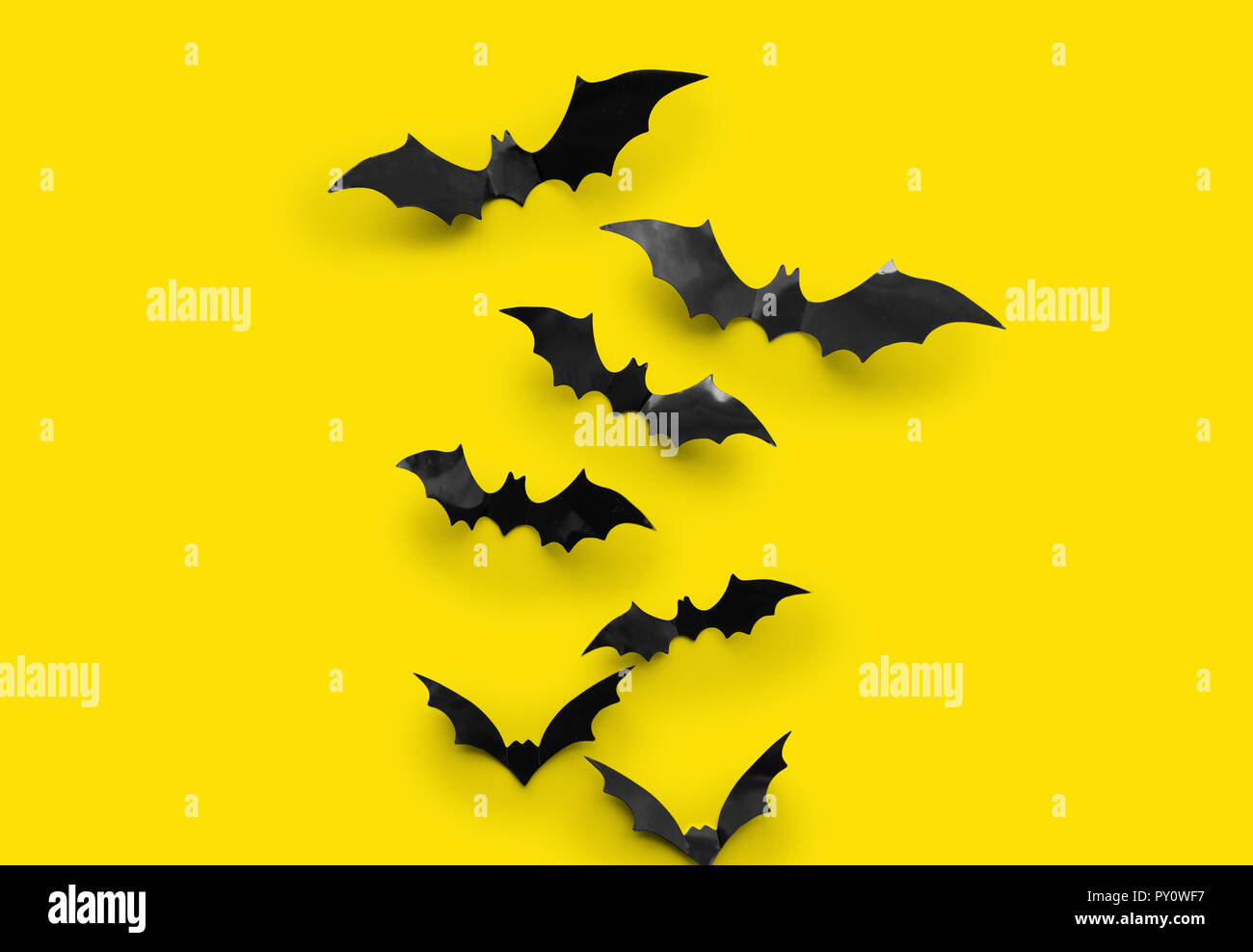 Black and yellow bat hi-res stock photography and images - Alamy