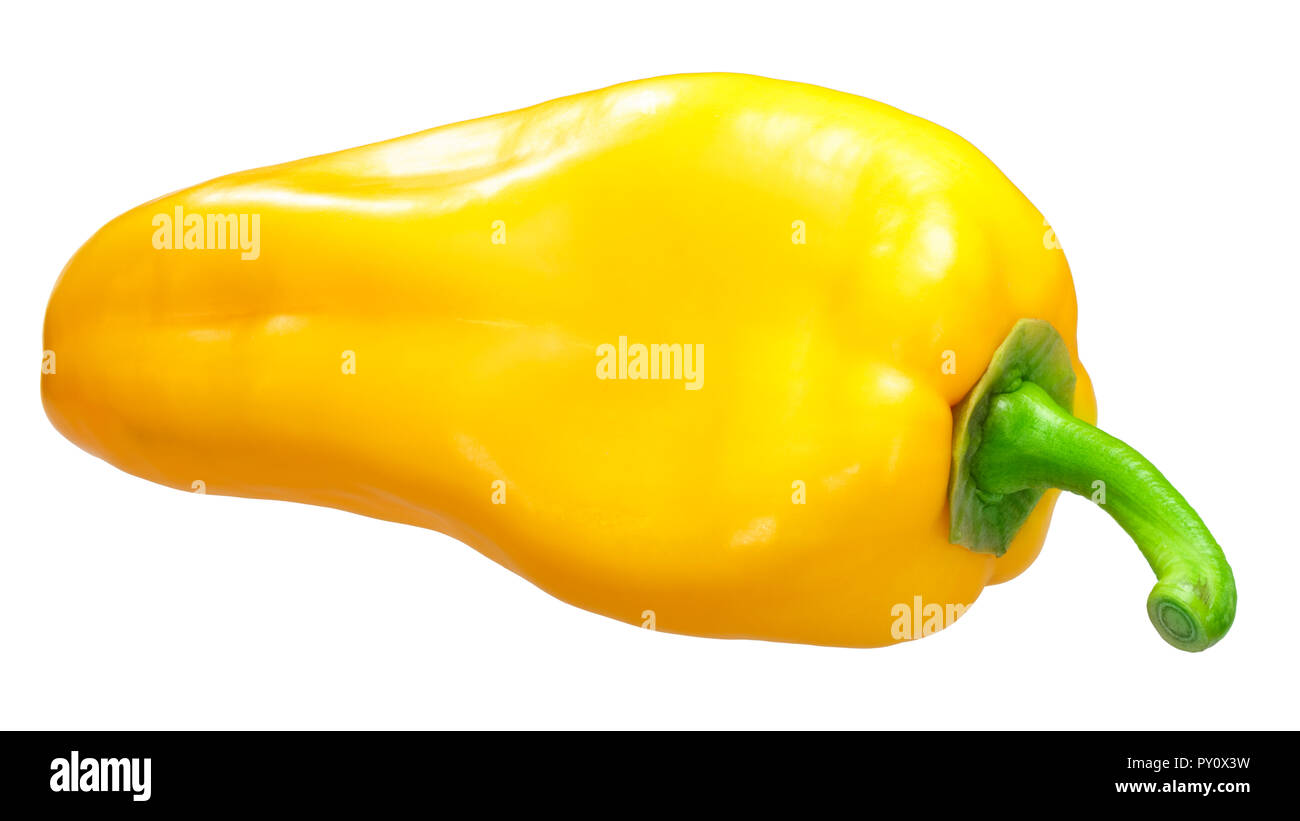 Giant Yellow Patrizia Pepper (Capsicum annuum), whole pod Stock Photo ...