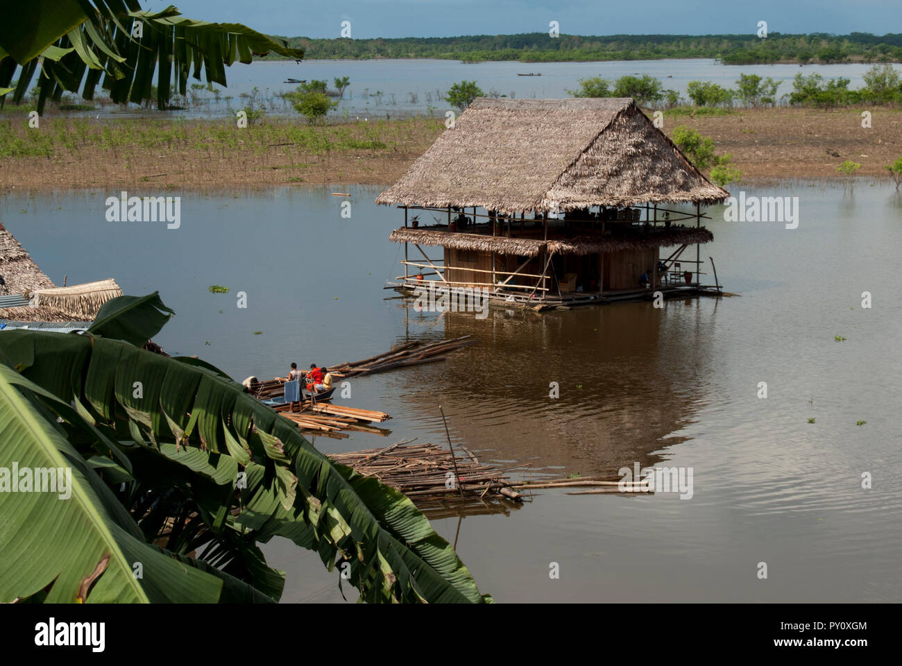 Forest Tree House Jungle Stock Photos & Forest Tree House Jungle Stock ...