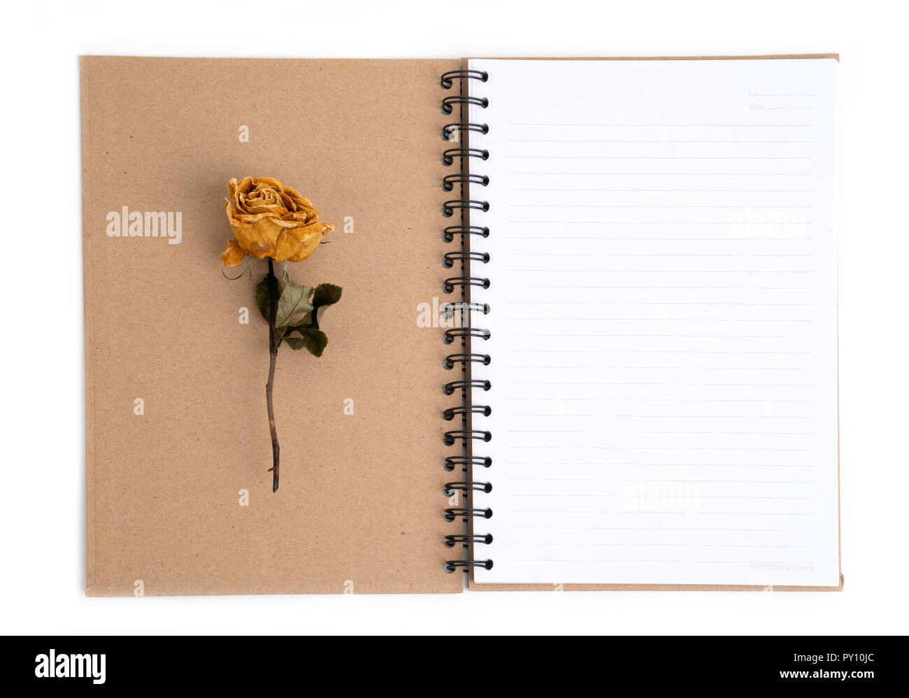 Notebook page Cut Out Stock Images & Pictures - Alamy