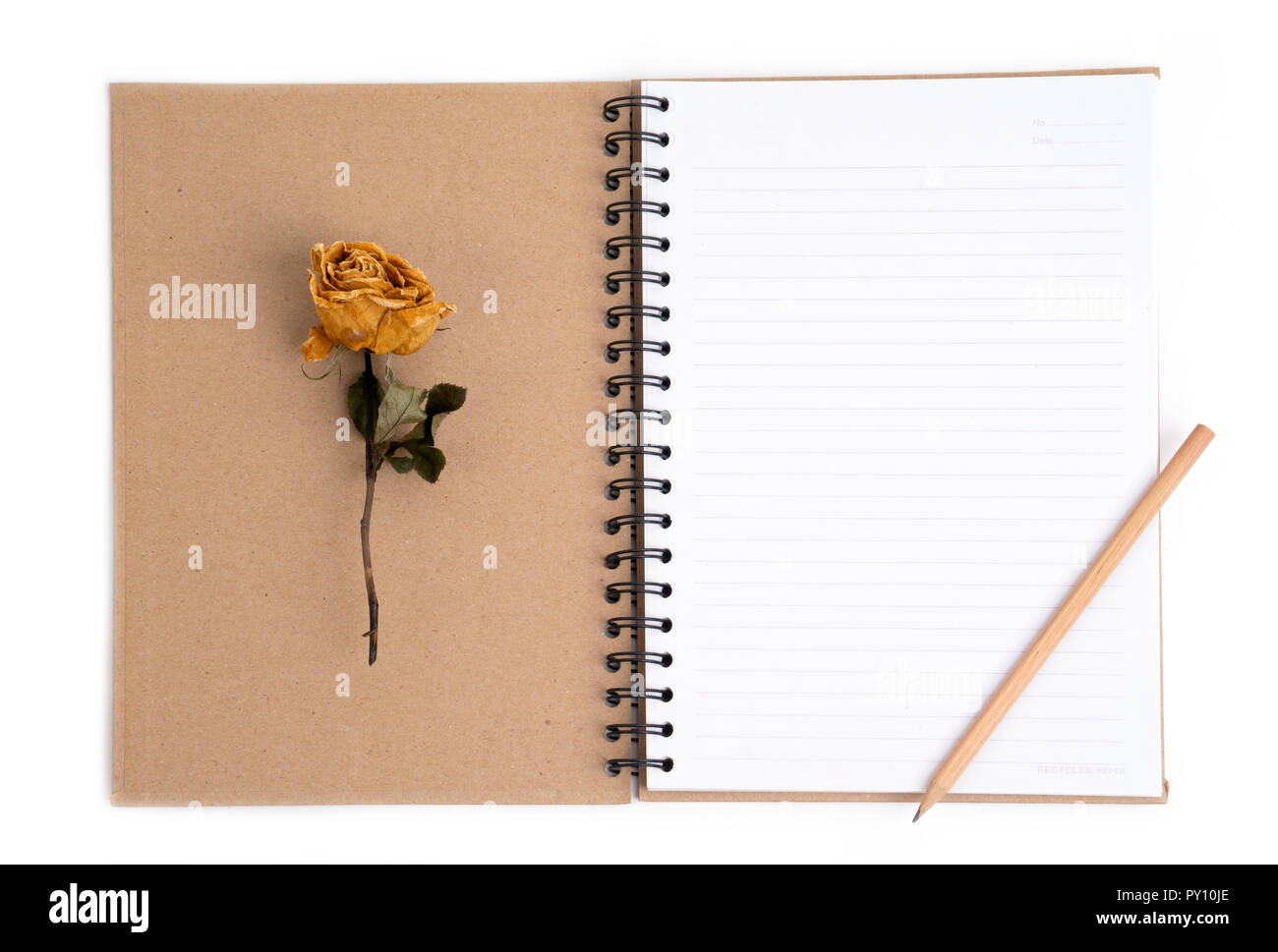 Empty paper with pencil hi-res stock photography and images - Alamy