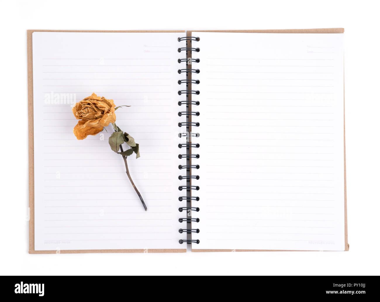 Empty paper with pencil hi-res stock photography and images - Alamy