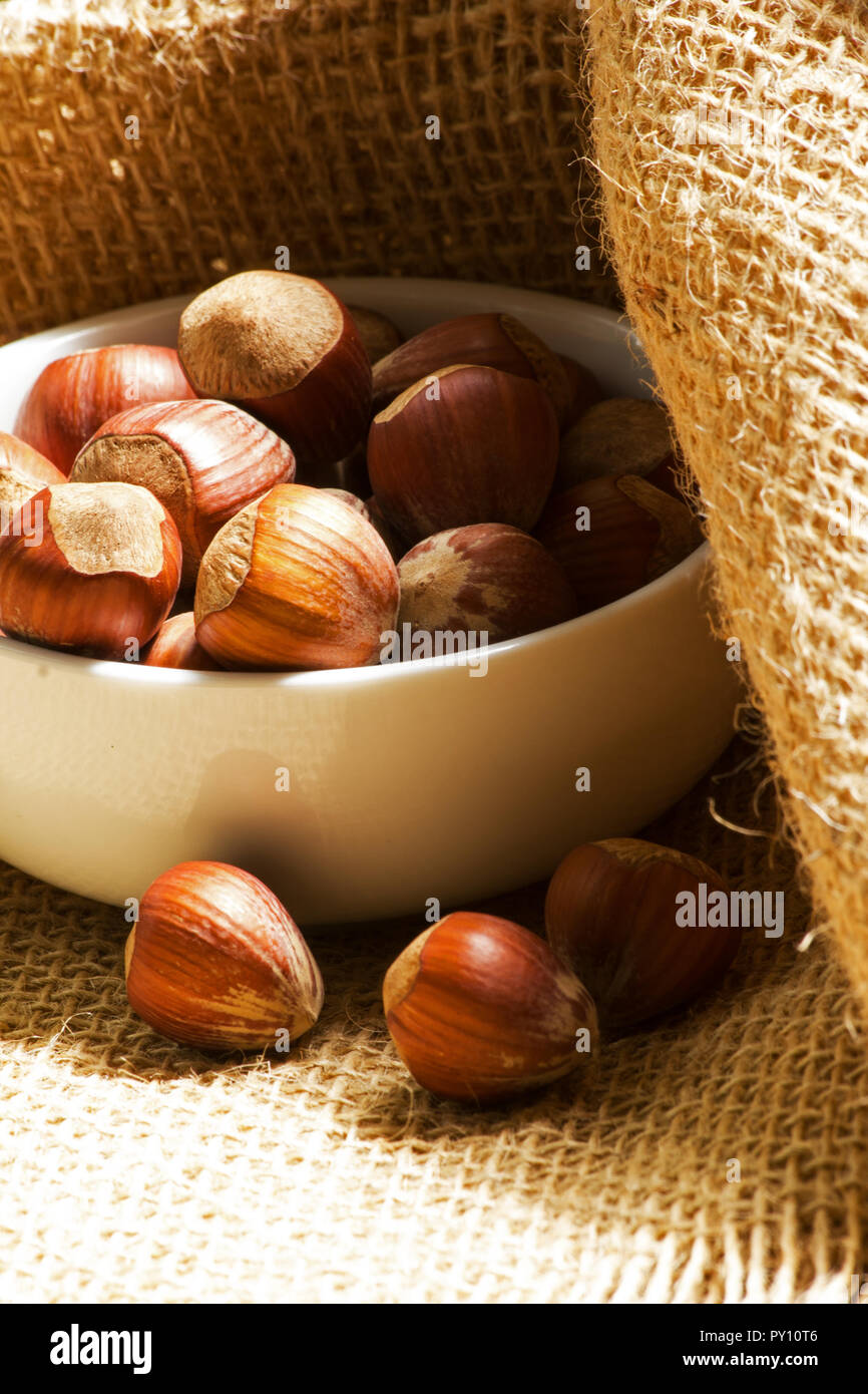Hazelnut corylus avellana group hi-res stock photography and images - Alamy