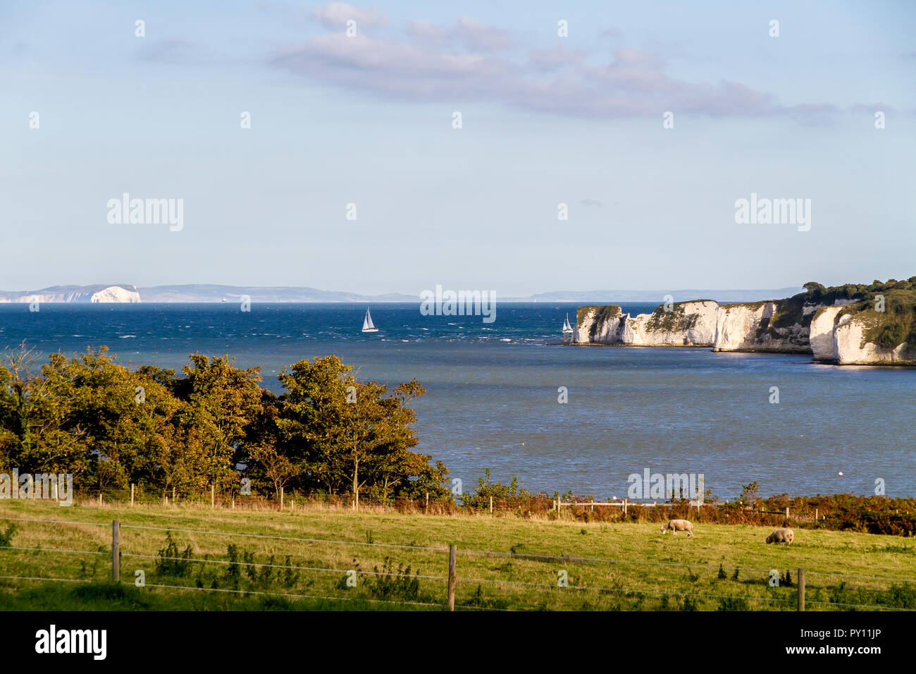 Pig bay beach hi-res stock photography and images - Alamy