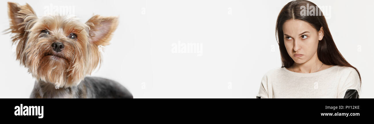 The sad angry woman and her dog over white background. Yorkshire ...