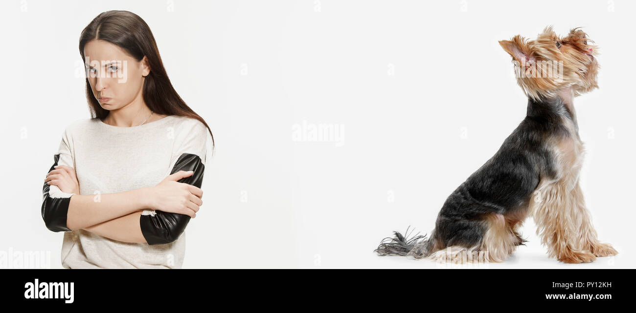 The sad angry woman and her dog over white background. Yorkshire ...