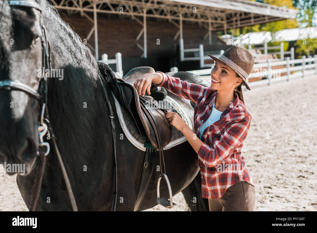 attractive cowgirl in checkered shirt fixing horse saddle at ranch ...