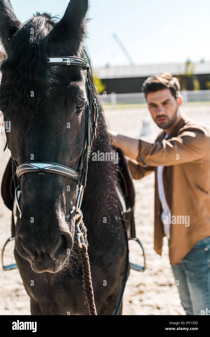 selective focus of handsome male equestrian fixing horse saddle at ...