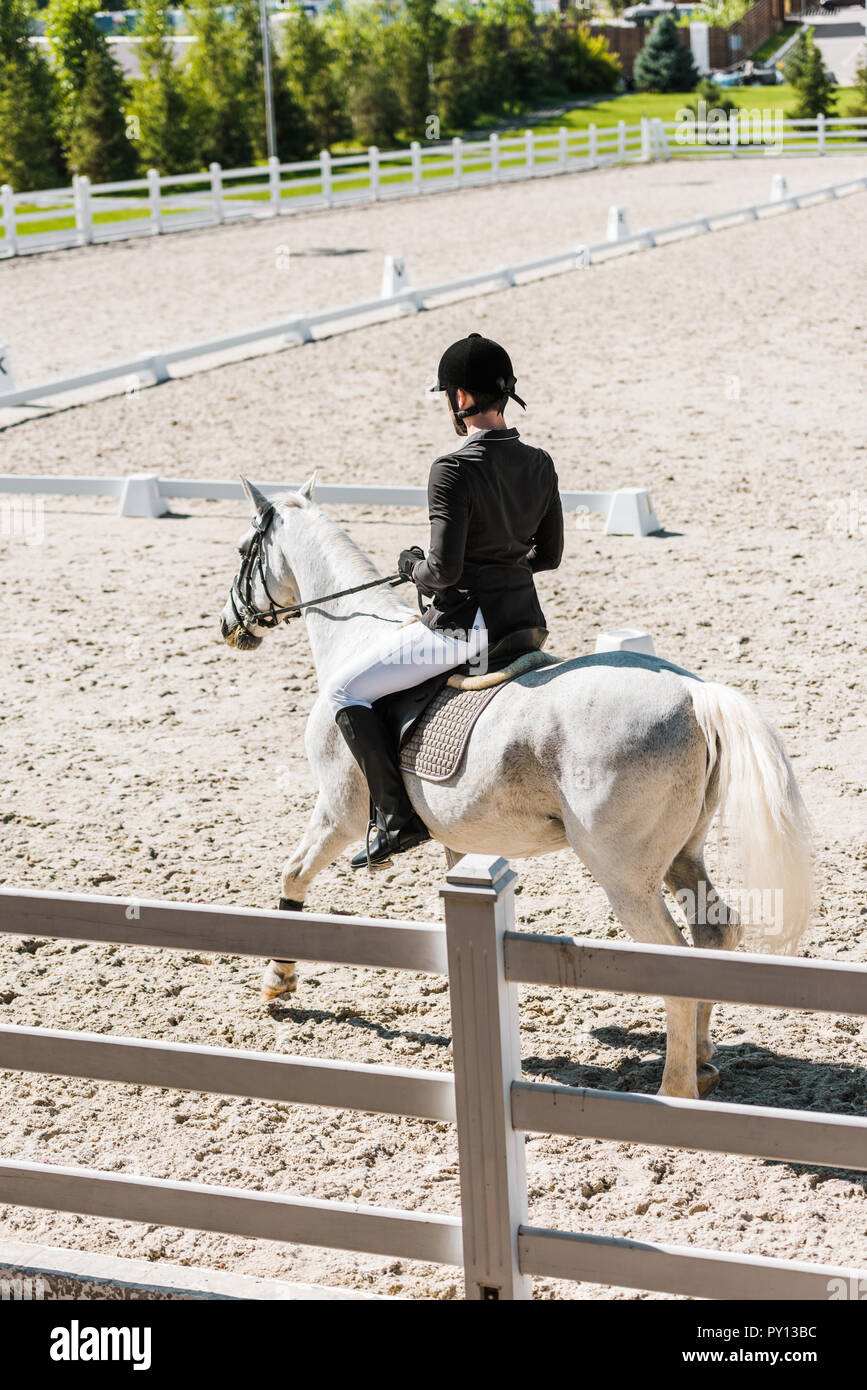 back view of male equestrian riding horse at horse club Stock Photo - Alamy